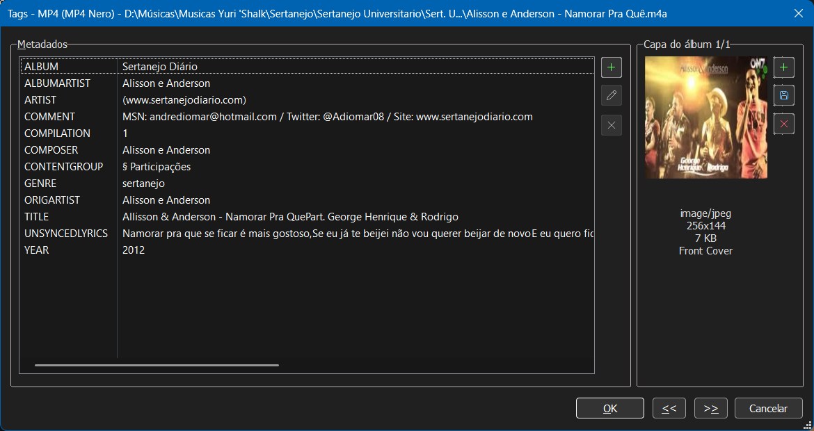 Mp3tag reads different MP4/M4A tags than Windows Explorer and MusicBee ...